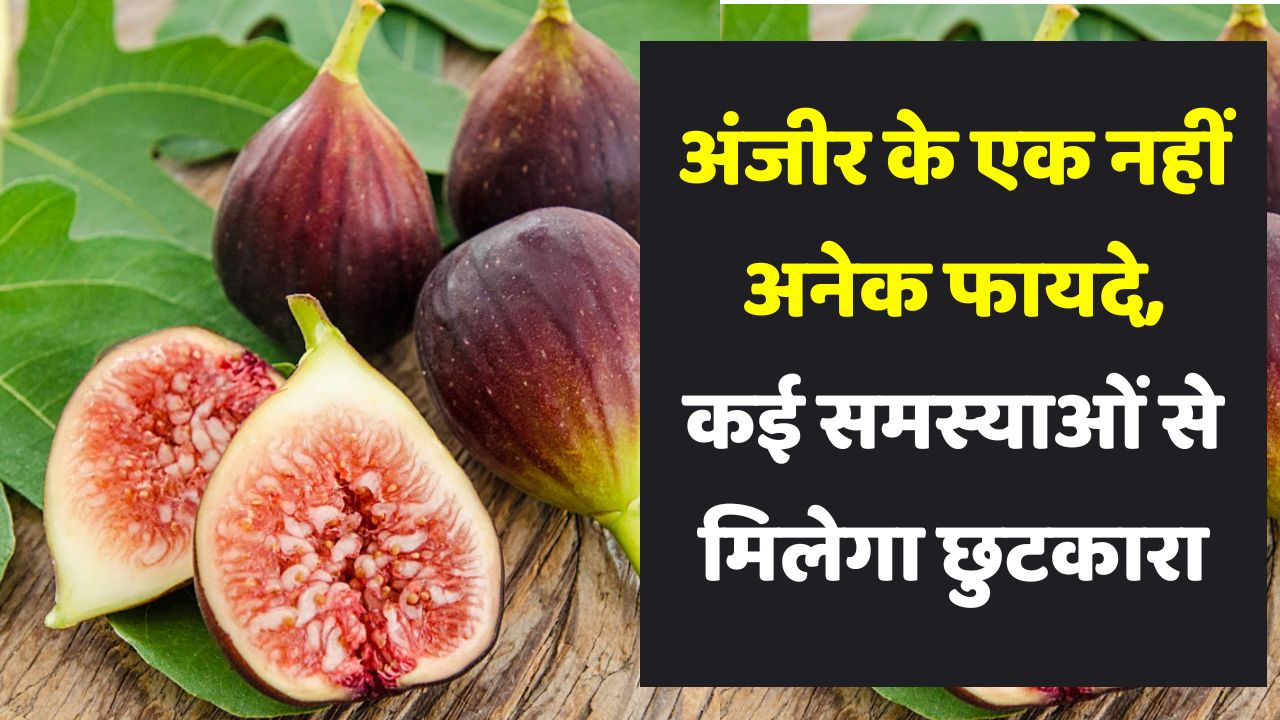 Health tips Amazing benefits of eating Anjeer many health related ...