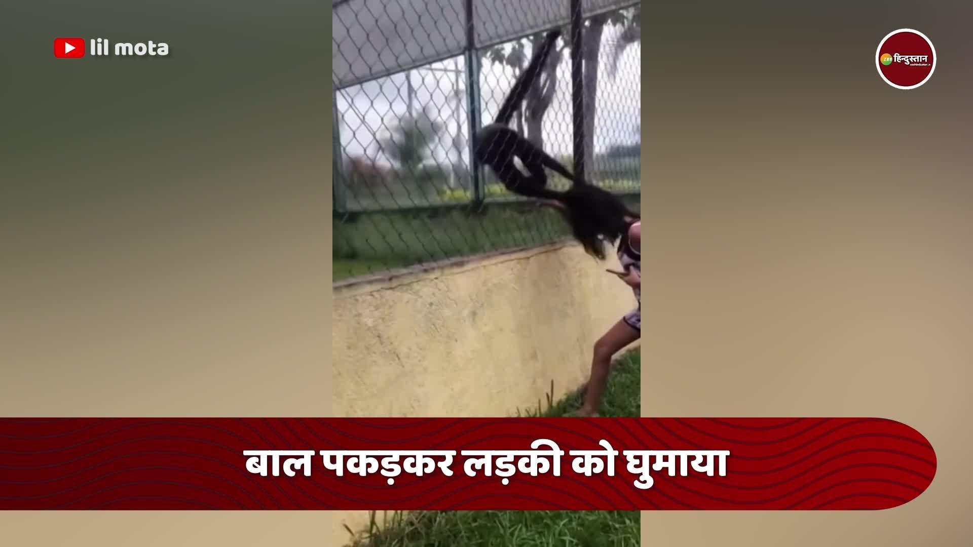 monkey pulling the girl hair dunring visit zoo video went viral | बंदर ...