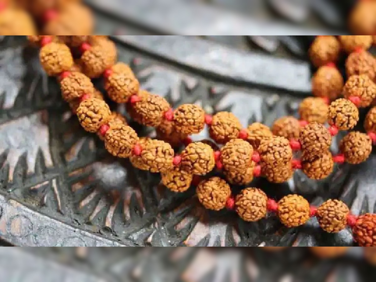 Rudraksha Origin and wearing importance | Rudraksh: जानें आखिर कैसे हुई ...