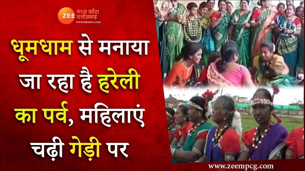 Hareli Festival of Chhattisgarh celebrated with zeal dnzmp | धूमधाम से ...