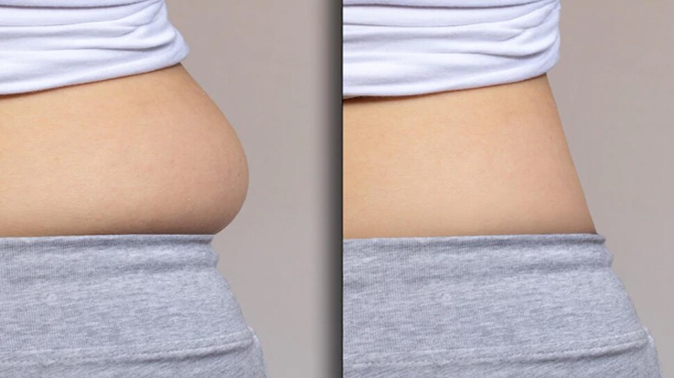 4 Natural Fat Burner Diet Plan to Help You To Get Slim Trim Body In a ...