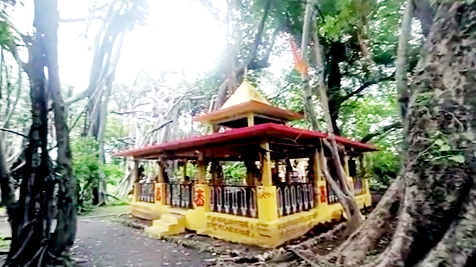 nag panchmi temple of takshak nagdev under the biggest banyan tree ssmp ...