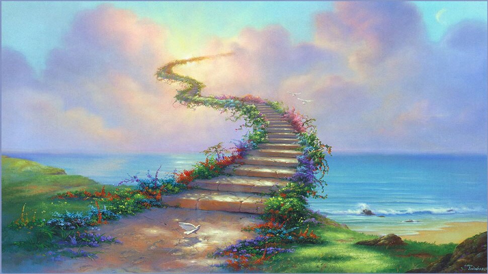 oldest living tree species beautiful photos will made you its fan know ...