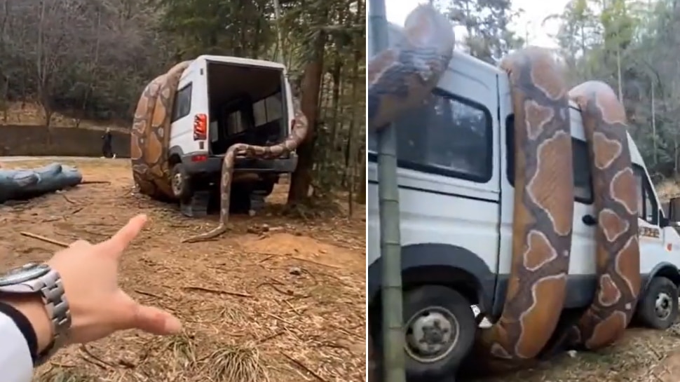 giant snake wrapped the car You must have never seen such a sight ...