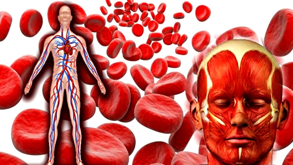 blood boosting diet These 4 fruits increase blood in body Blood Rich ...