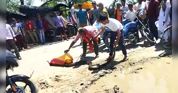 Python fatehpur satna snake rescue up news crime news trending truck me mila 15 feet ka azgar ...