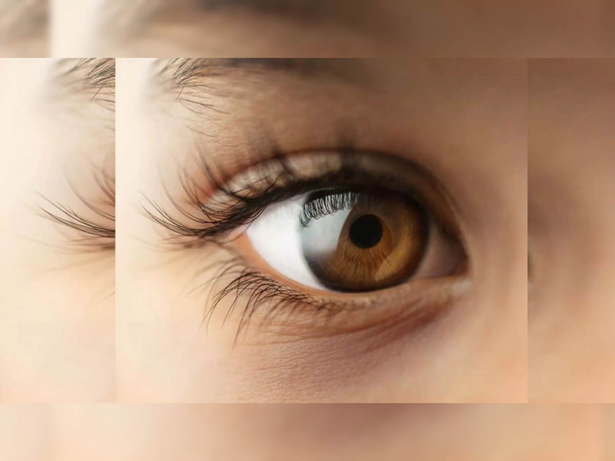 What gives eyes their color, Why eyes have different colors, different ...