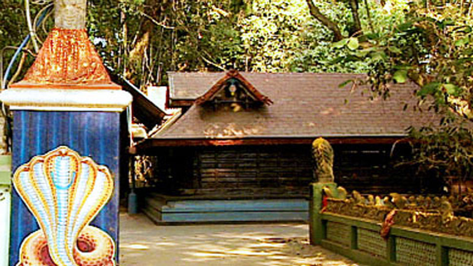 beautiful snake temples of india naag devta worshipped see viral photos ...