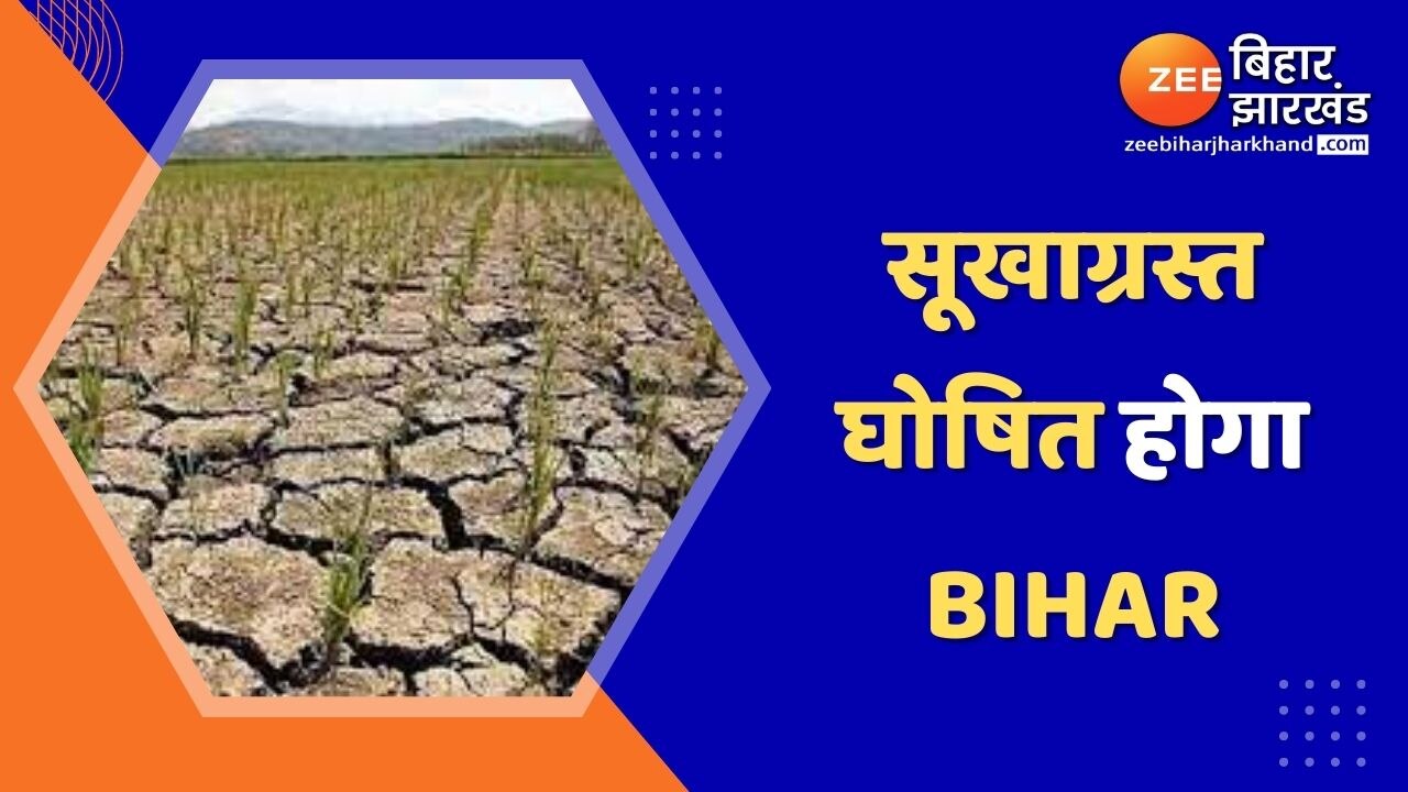Bihar will be declared drought-hit, big announcement by Agriculture ...