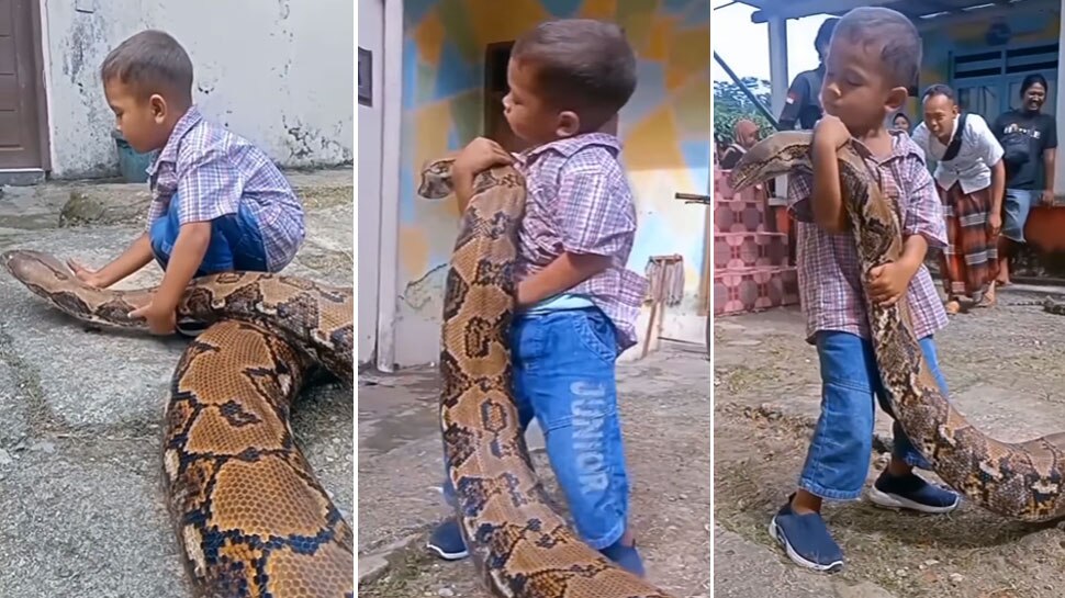 python snake in hands of child dangerous video hugging snake shocking ...