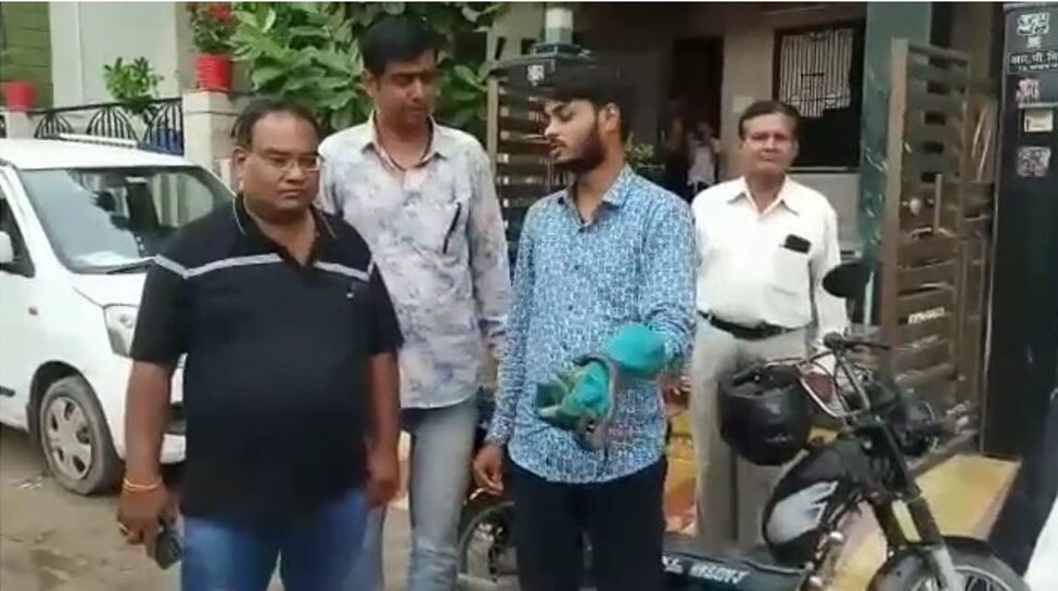 4 ft Snake found in kitchen on seeing the members of the house became ...