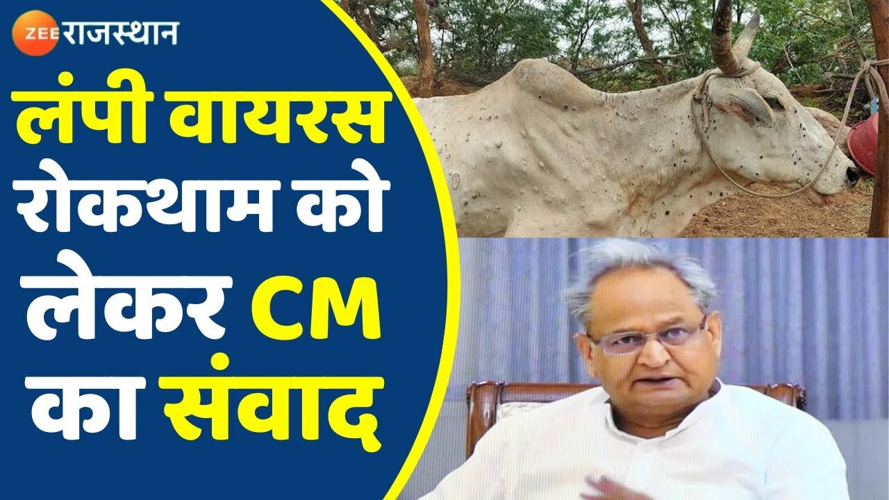Lumpy Skin Disease CM Ashok Gehlot dialogue about lumpy skin disease ...