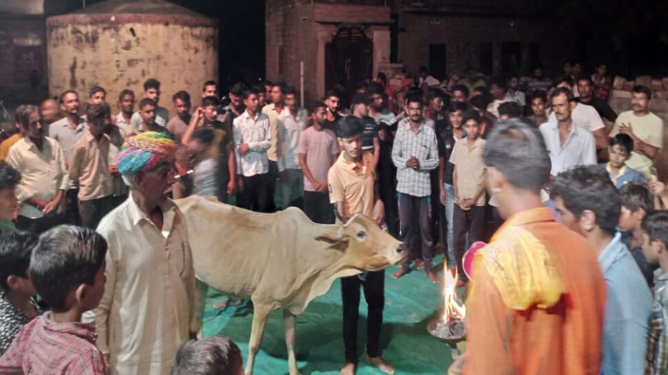 Bhopalgarh: Bhajan evening organized in the name of Gomata raised 3.50 ...