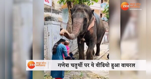 Elephant blessed child sitting in mother lap watch video hathi ne diya ...