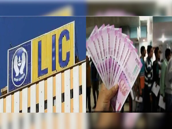 lic to get monthly pension of rs 12000, check full details saral pension yojna | LIC की इस स् ...