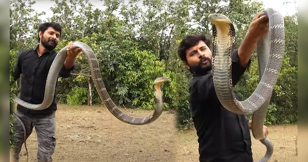 King Cobra attack on a man who is playing with snake people shocking ...