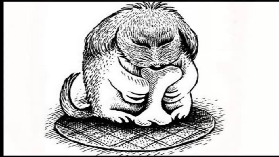 optical illusion photo find Hidden Man in viral puzzle picture dadnh ...