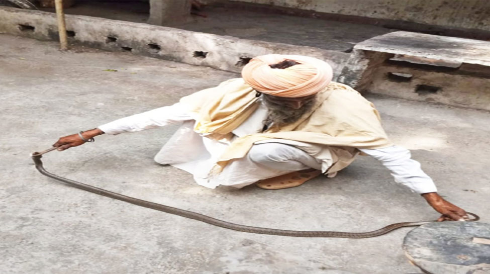 Mandalgarh 5 feet long black snake entered the police mains there was a ...