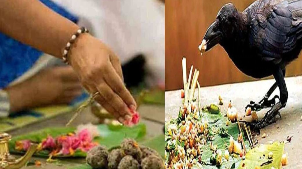 pitri paksha 2022 start date Pitra Paksha Kab Se shuru ho raha hai ...