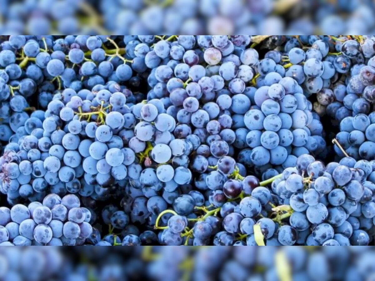 optical illusion photo gallery find hidden objects in this tricky ...