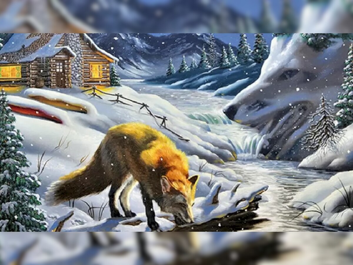 optical illusion photo gallery find hidden objects in this tricky ...