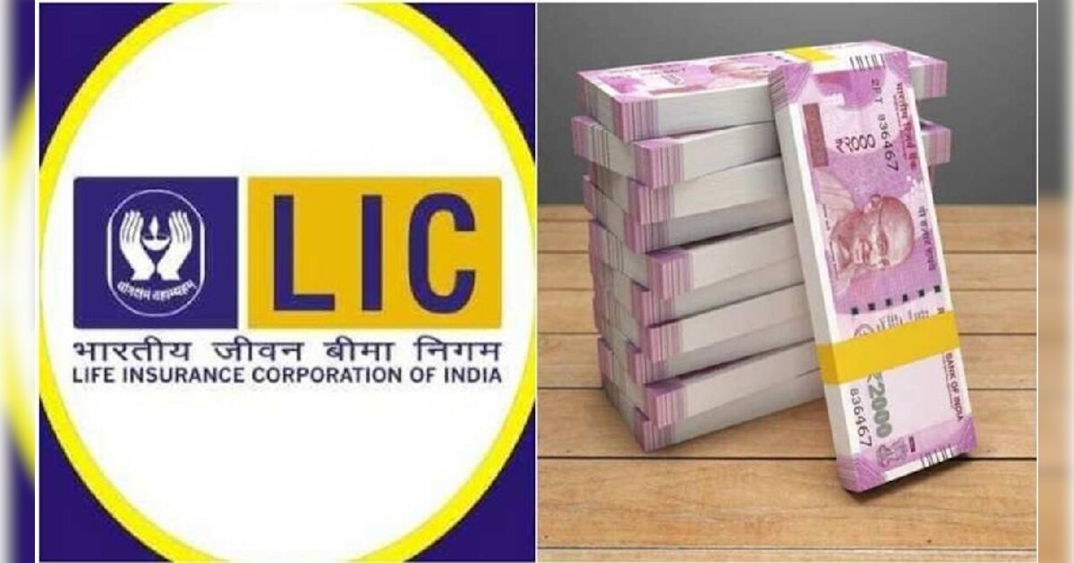 LIC announces New Pension Plus plan All you need to know about the scheme