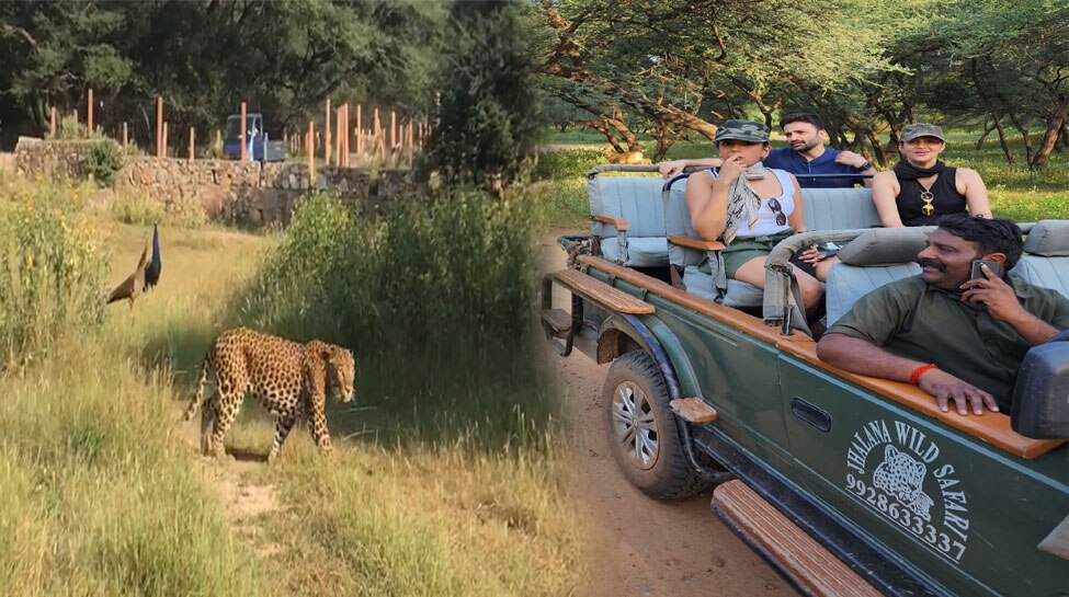 Actress Rishina and actor Puneet Sachdeva enjoy Jhalana safari thrilled ...