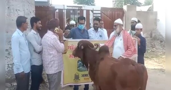 Jamaat e Islami Hind launches campaign for prevention and awareness of ...