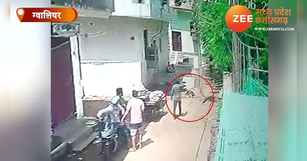 new bride committed suicide by jumping terrace dulhan ki video in CCTV mpsn | नई दुल्हन ने छत से ...