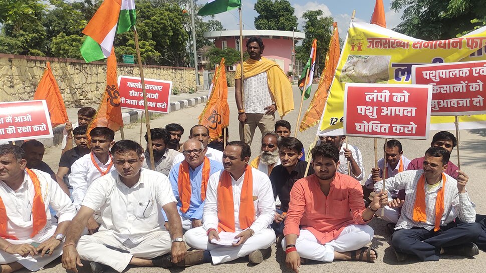 Jaipur Demand to declare Lumpi as a national disaster Population ...