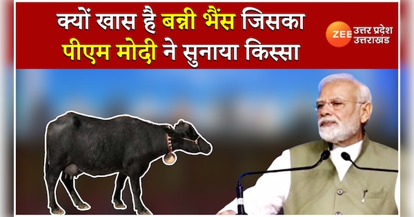 Qualities of banni buffalo which was mentioned by prime minister ...