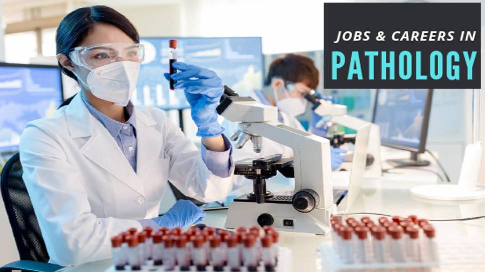 Clinical Pathology Diploma PG course for specialization after MBBS ...