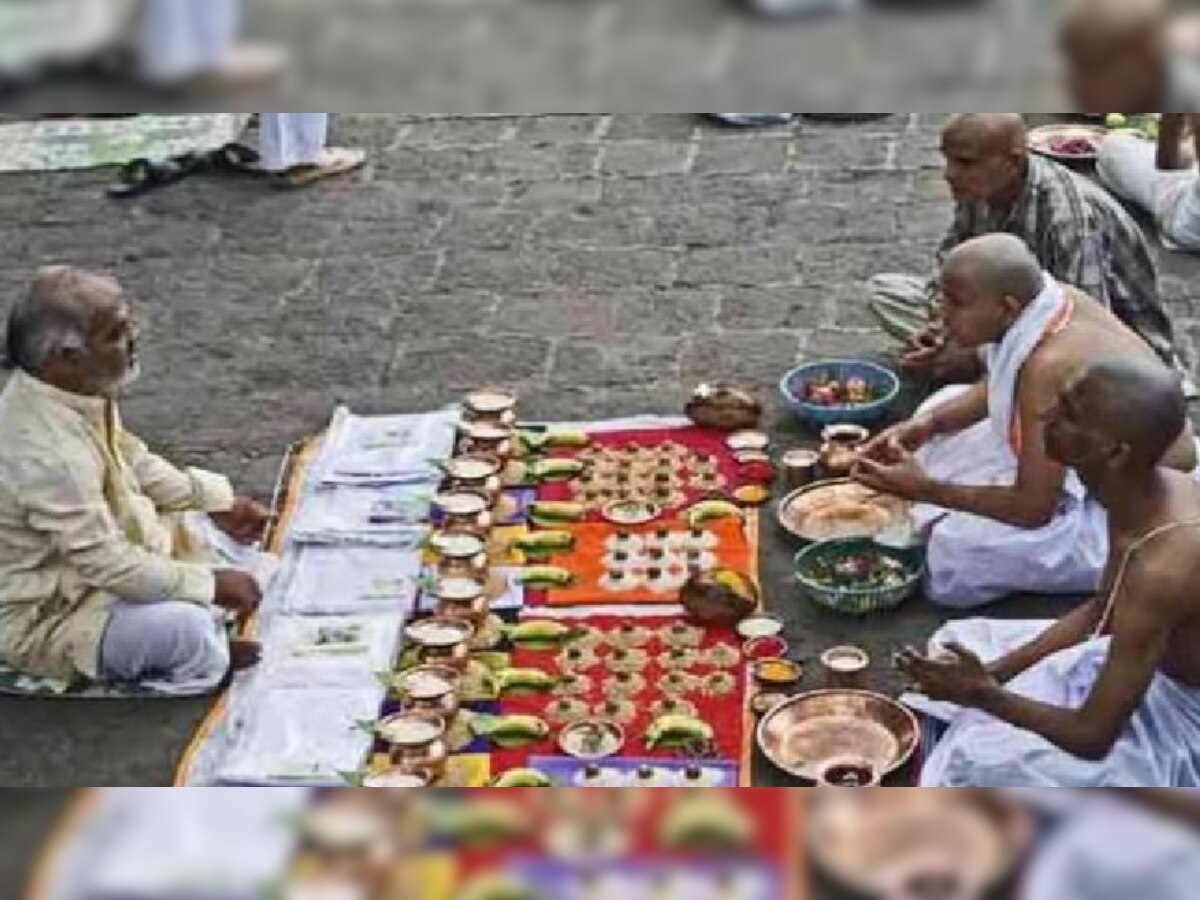 pitru paksha-2022 pipal bargad belpatra tulsi shami tree puja pitra ...