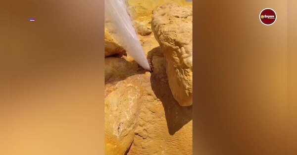trending weird video of water started coming out after tearing chest of ...