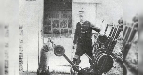 Jack The Baboon use to work as a lineman in railways give signals on ...