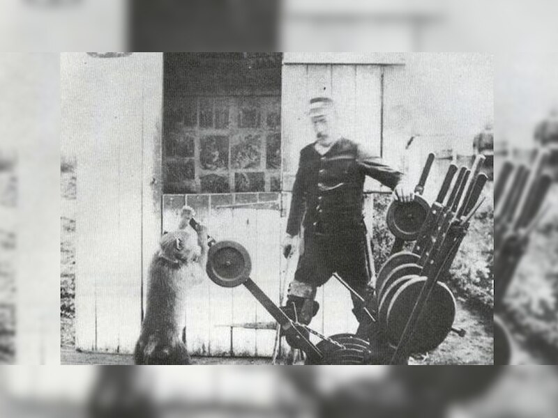 Jack The Baboon use to work as a lineman in railways give signals on ...