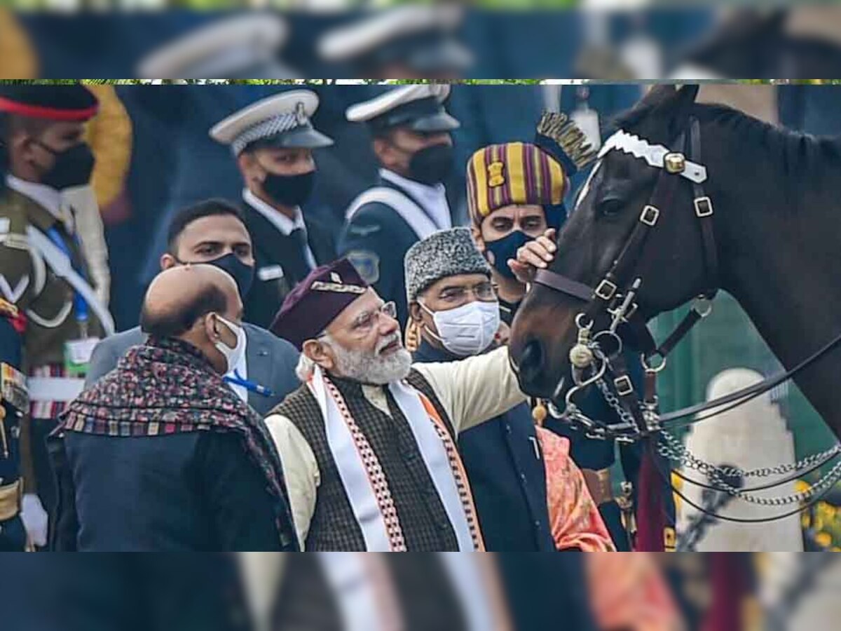 PM Narendra Modi 72nd Birthday Cheetah came India on Modi birthday see ...