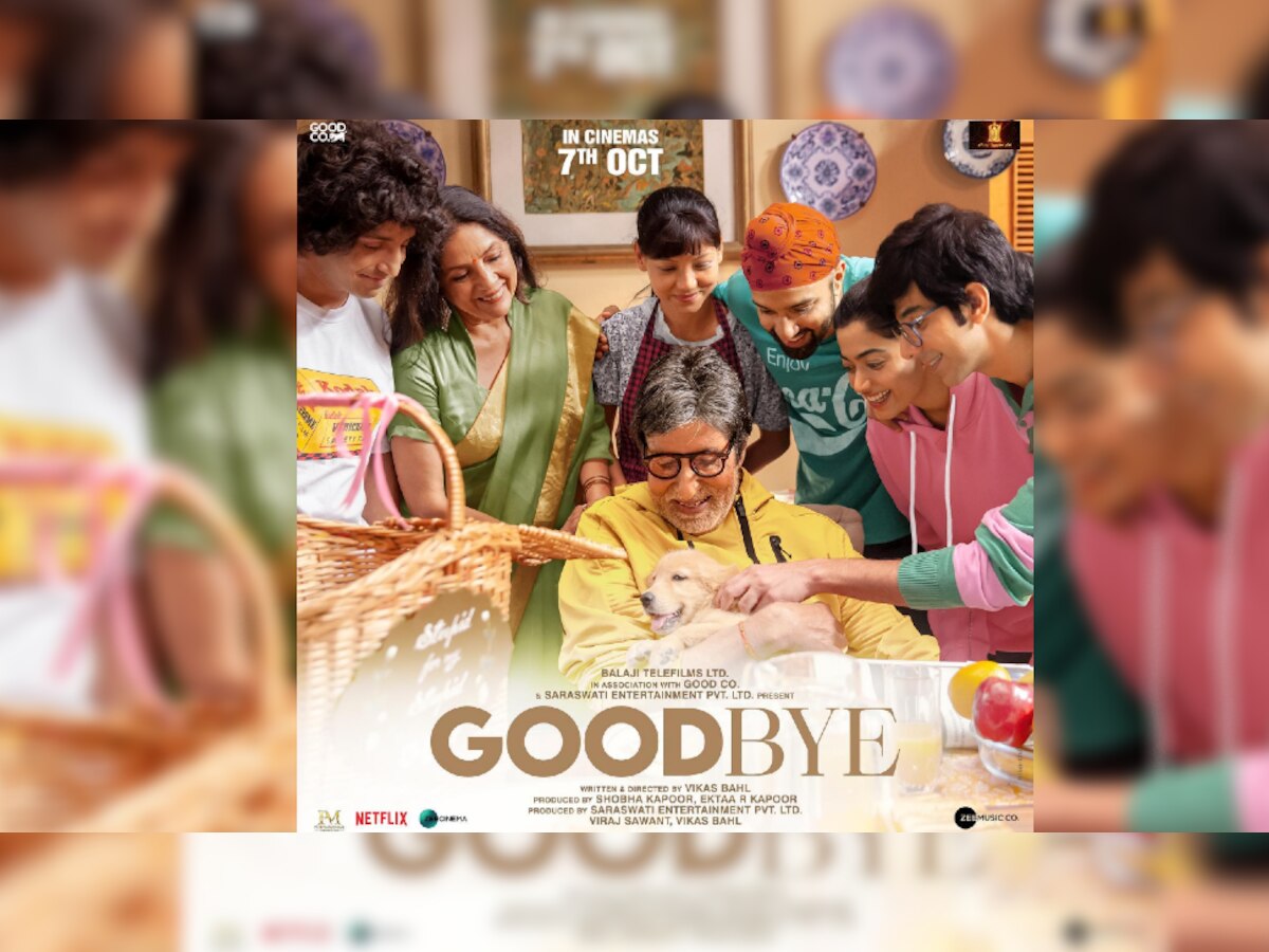 Rashmika Mandanna enjoying delhi food insta post goodbye film promotion ...