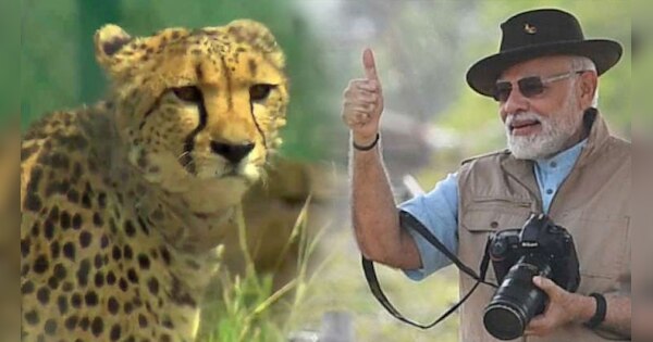 pm narendra modi using this special camera to capture cheetah images ...