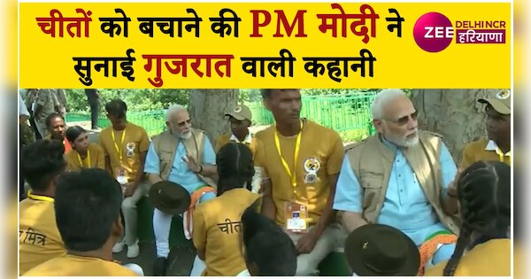 pm modi told the real reason why he brought cheetah leopard from ...