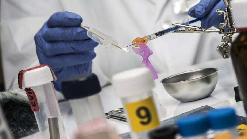 Mass DNA test: ଧରାପଡିଲା ଅତ୍ୟାଚାରୀ ଚୀନର ବଡ ଚାଲ୍, ନାଗରିକଙ୍କ ଉପରେ ନଜର ...