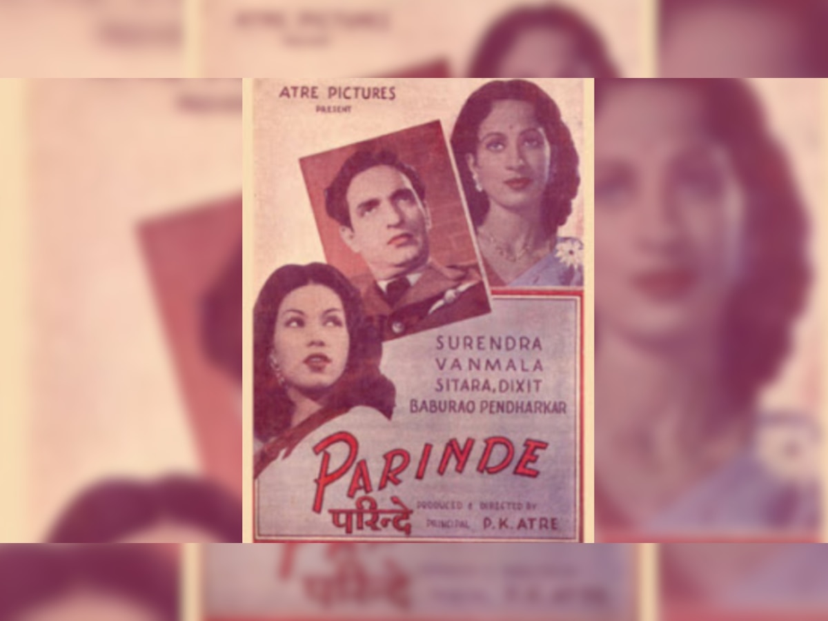 Beautifull Bollywood Actress Vanmala Devi See her photos skzs | इस हसीन ...