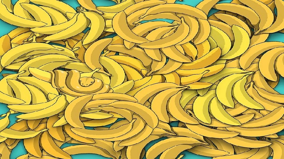 khojo to jaane find hidden Snake in banana shop viral illusion ...