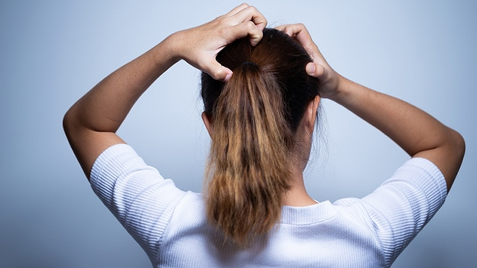 Home Remedies For Lice How To Remove Lice In Hair Home Remedies For
