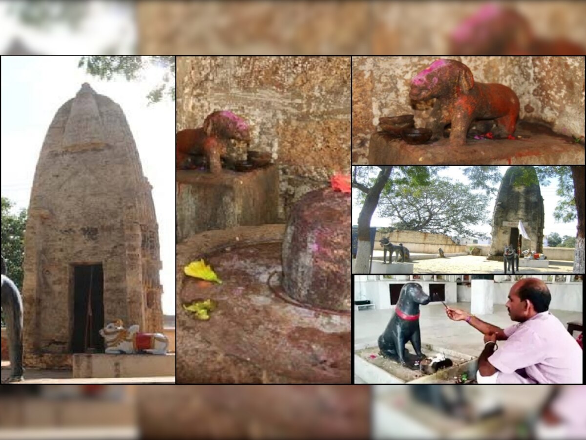 kukurdev mandir of khapri balod Unique temple where dog worship know ...