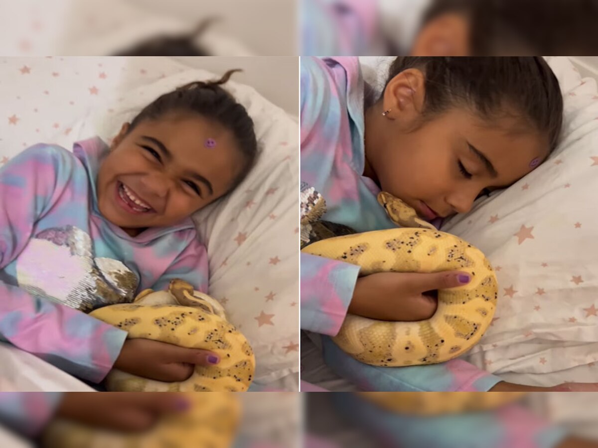 snake and girl on same bed kid kissed python trending video goes viral ...