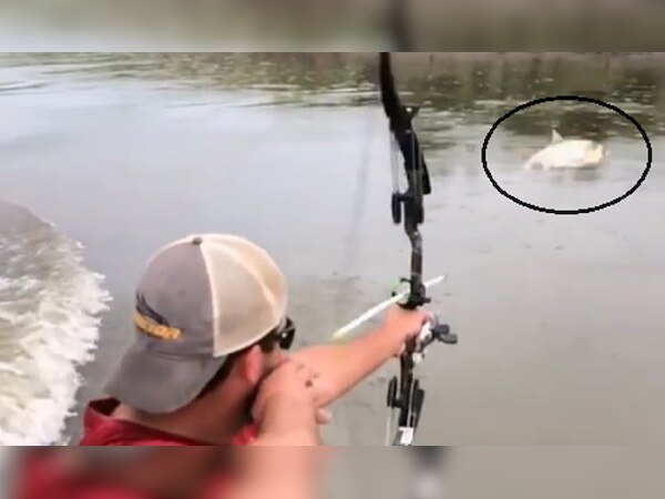 amazing video of fishing by man with bow and arrow goes viral as he ...