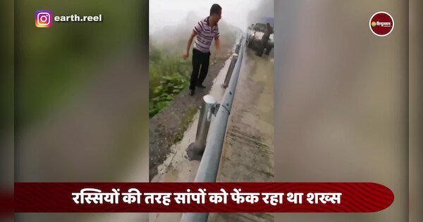 many snakes clustered together seen sitting on the side of the bridge ...