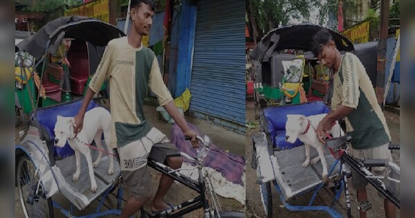 Ranchi Dog Lover And Rickshaw driver does overtime to take care the dog ...