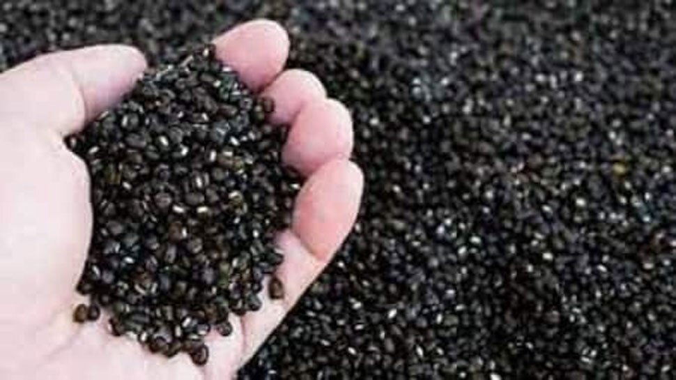 Astro Tips for Urad Dal zee news hindi astrological benefits remedy ...